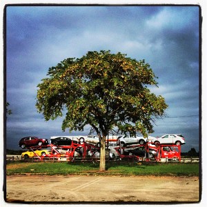 “Tree & Car Carrier”